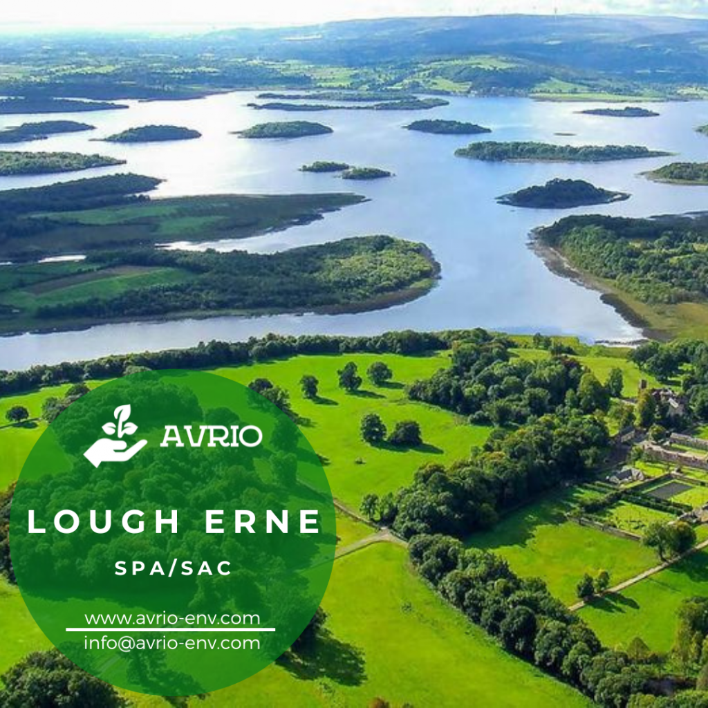 Upper Lough Erne - SPA & SAC | AVRIO Environmental Management