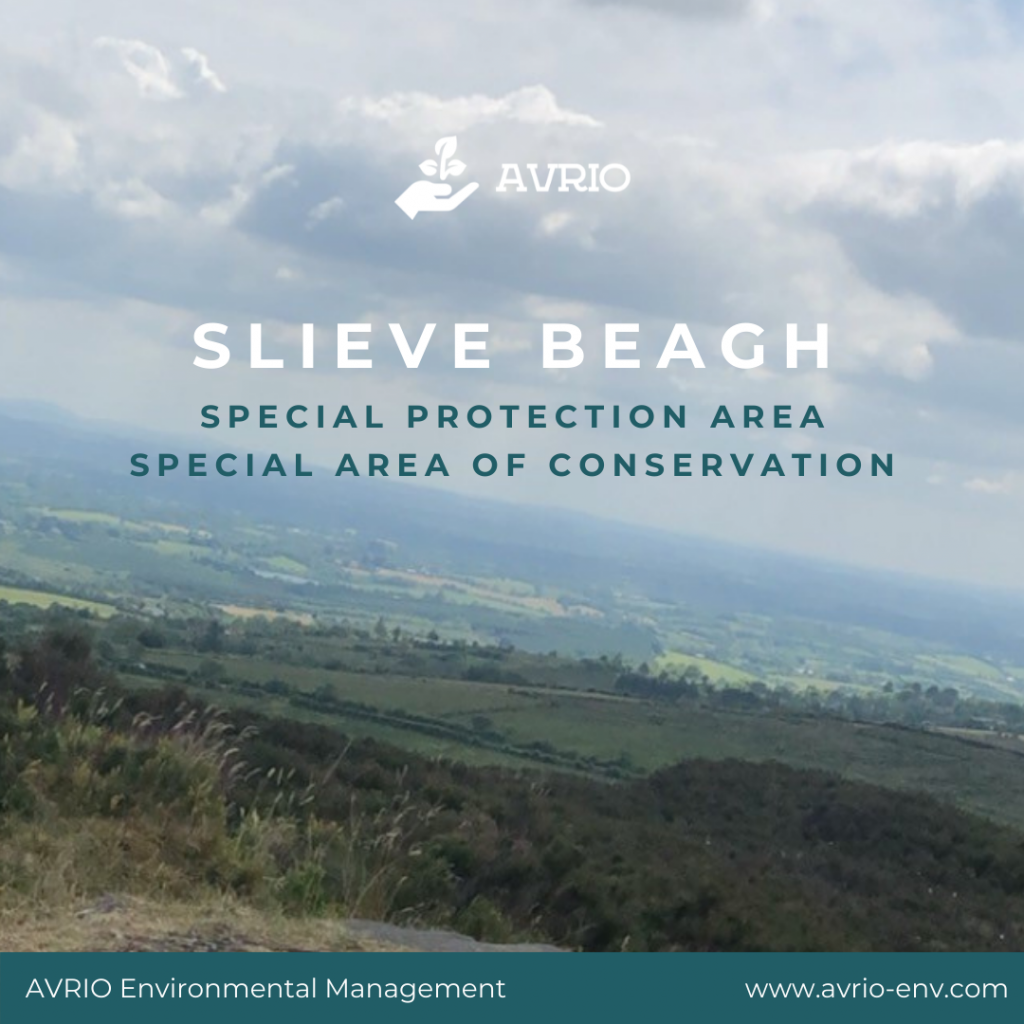 Slieve Beagh SPA SAC | AVRIO Environmental Management