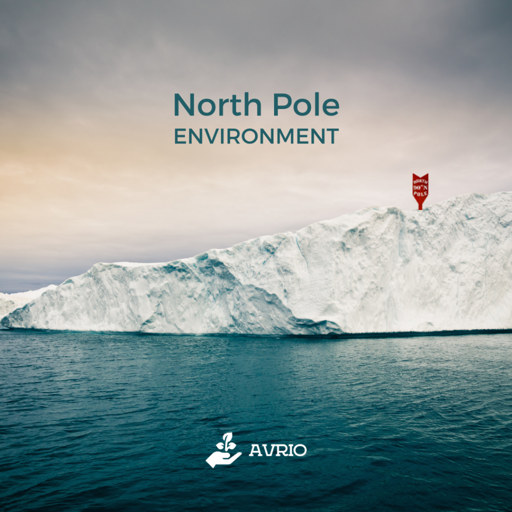 North Pole Environment | AVRIO Environmental Management