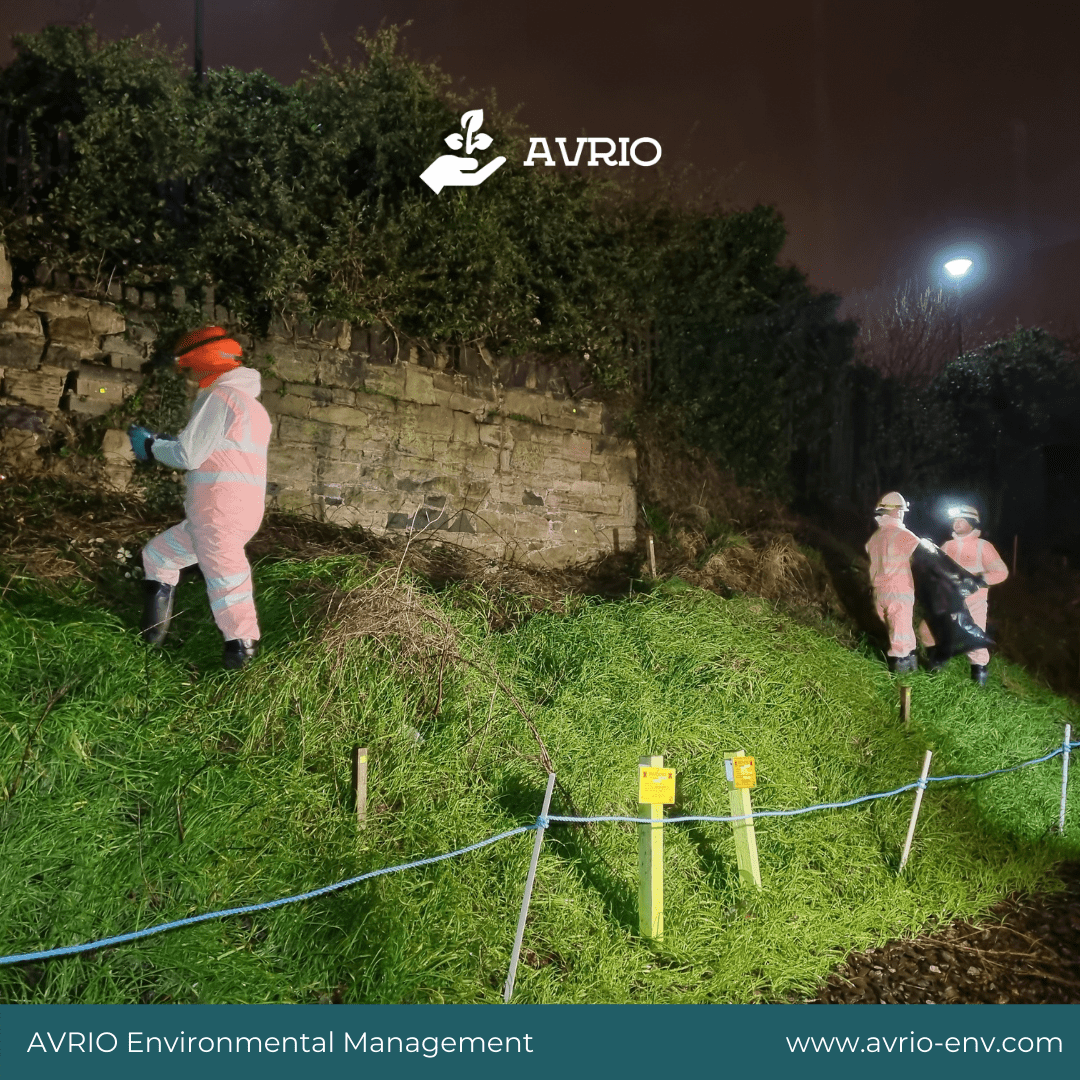 Railway ECoW | AVRIO Environmental Management